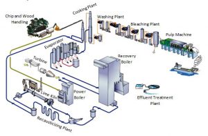 Pulp Process – PT. Tanjungenim Lestari Pulp and Paper