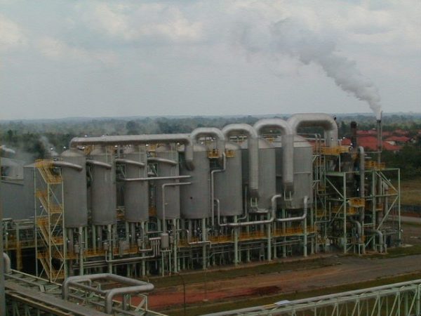 Proses Pembuatan Pulp – PT. Tanjungenim Lestari Pulp and Paper